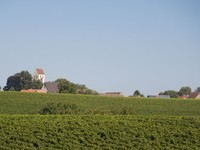 Schwarzwaldort Buggingen - Orte im Schwarzwald - Ortsinformationen im ...